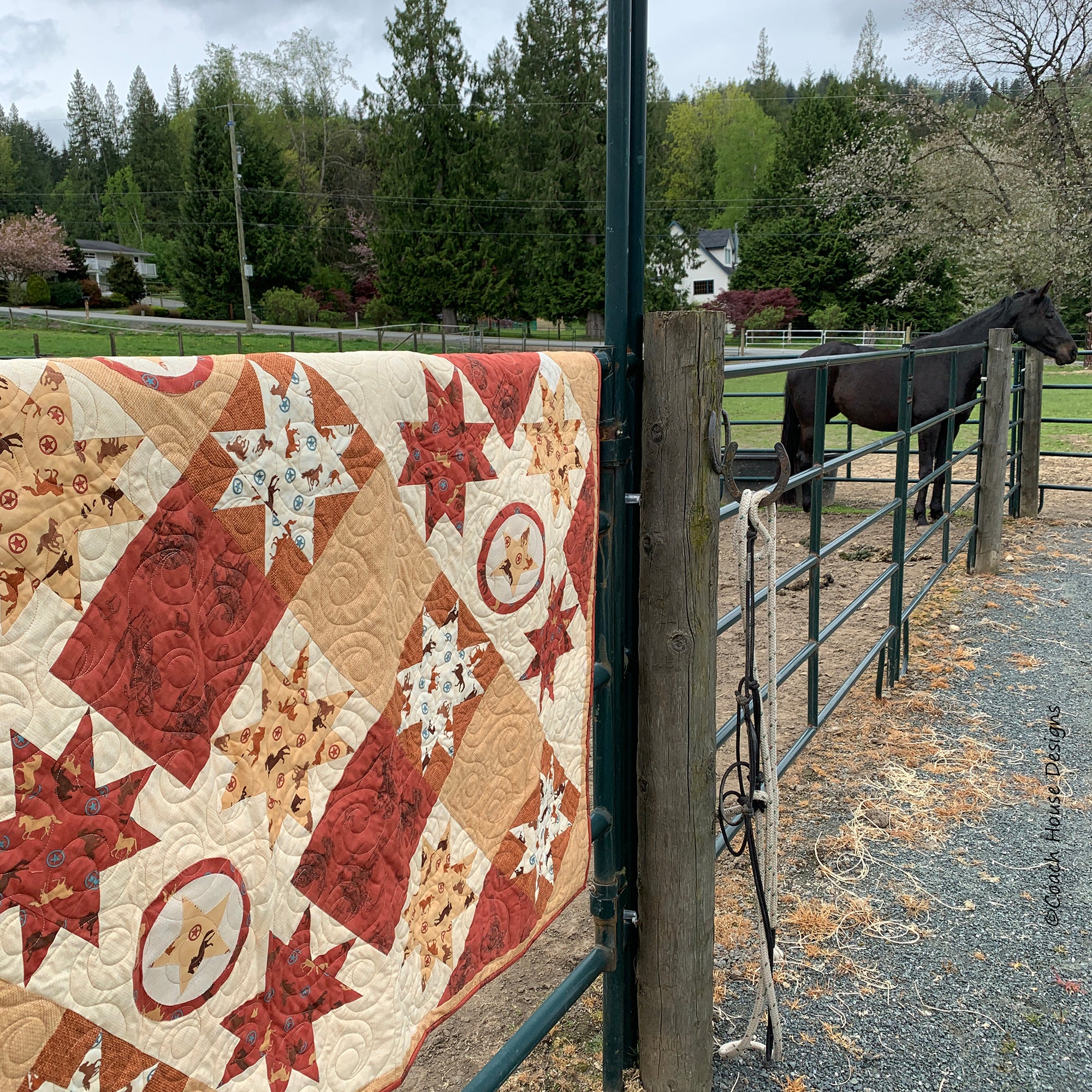 Under the Stars Quilt Pattern – Coach House Designs US